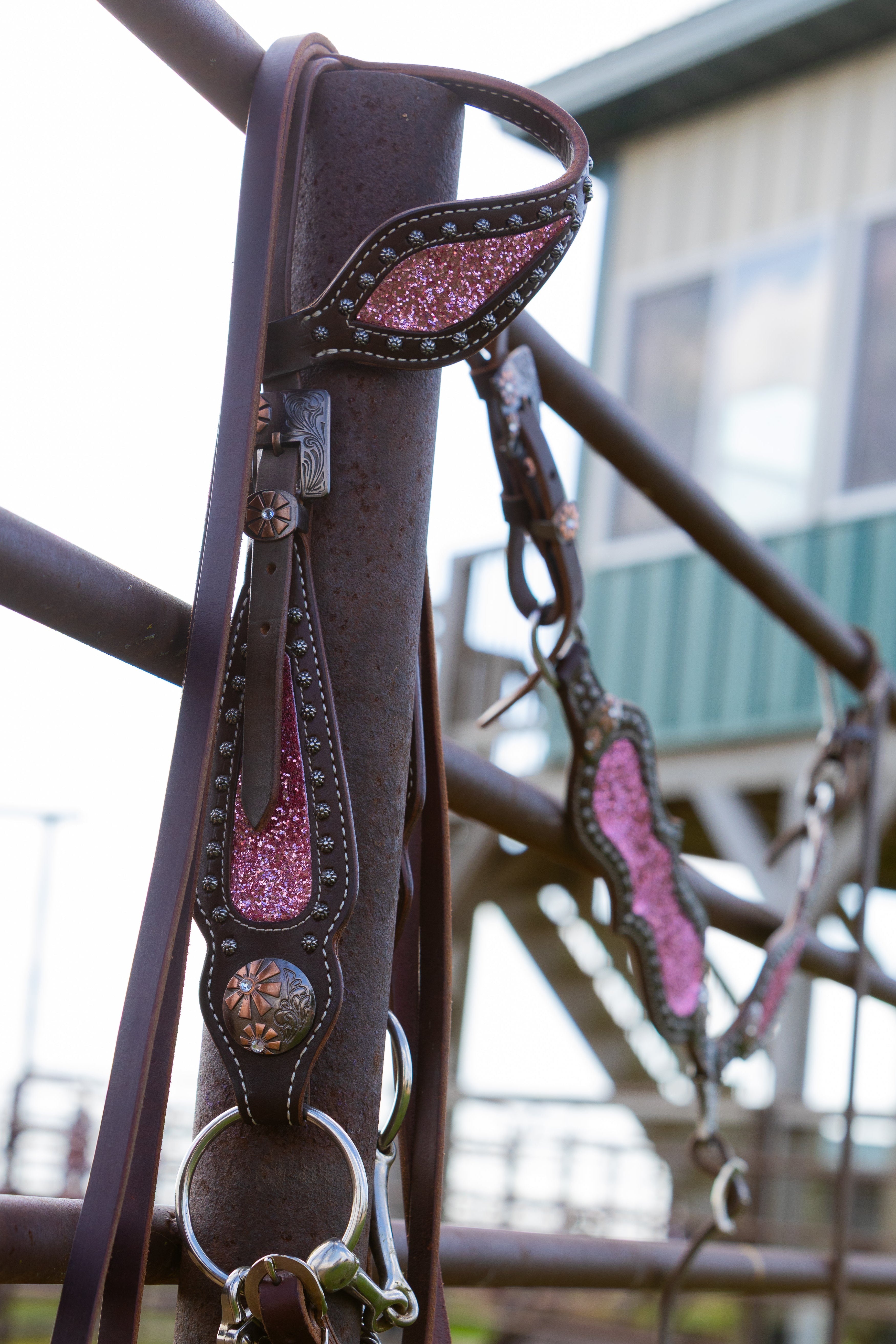 Horse tack, accessories and custom reins for the cowboy or cowgirl ...