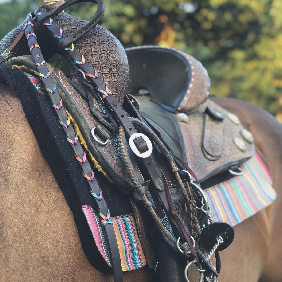 Horse tack, accessories and custom reins for the cowboy or cowgirl ...